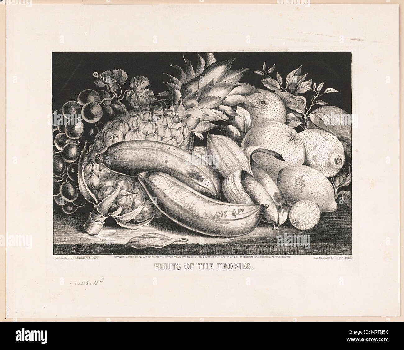 A depiction of tropical fruits, showcasing their diverse types and ...