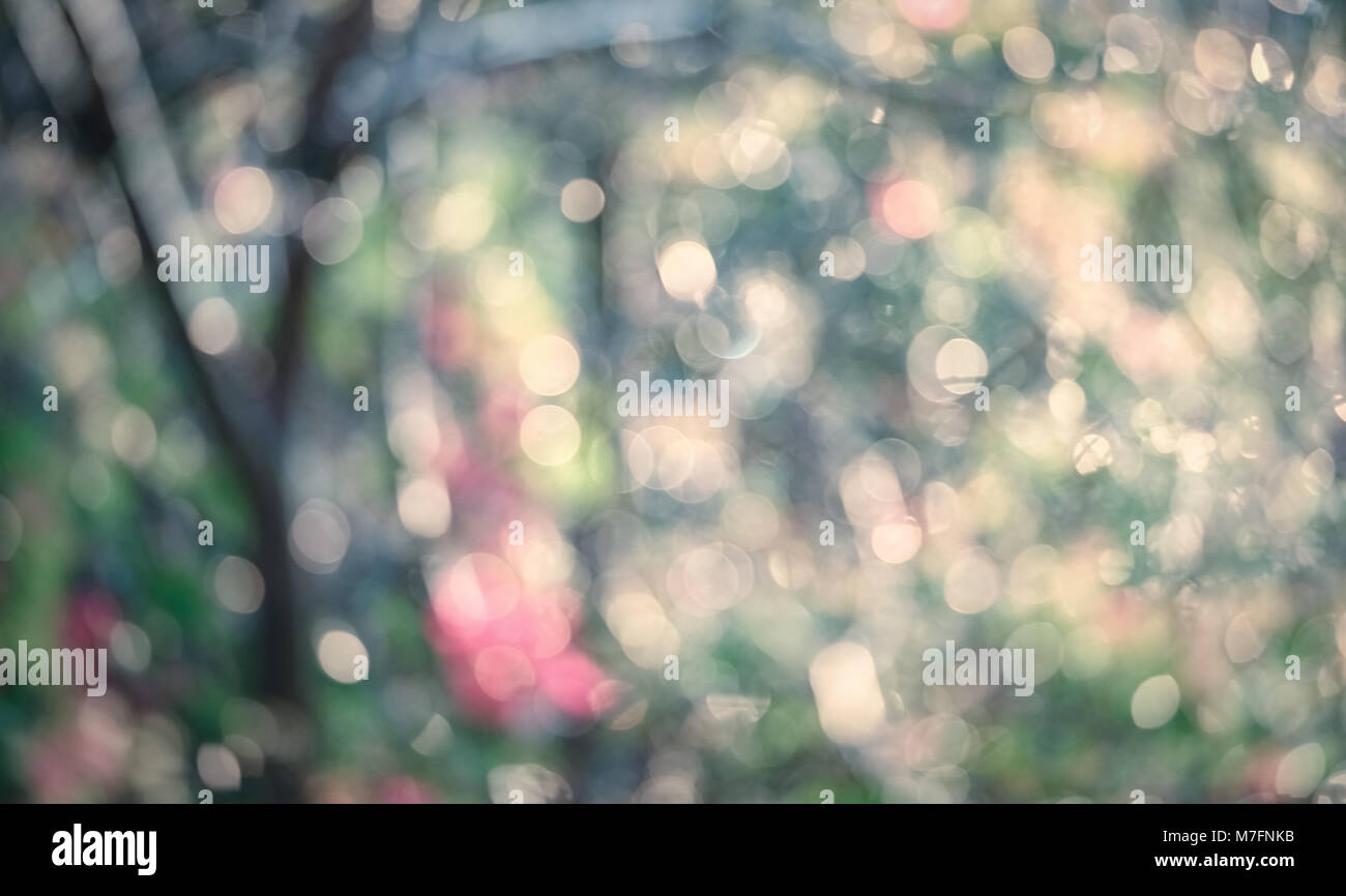 Spring themed vintage bokeh lighting effect with rain streaks Stock ...