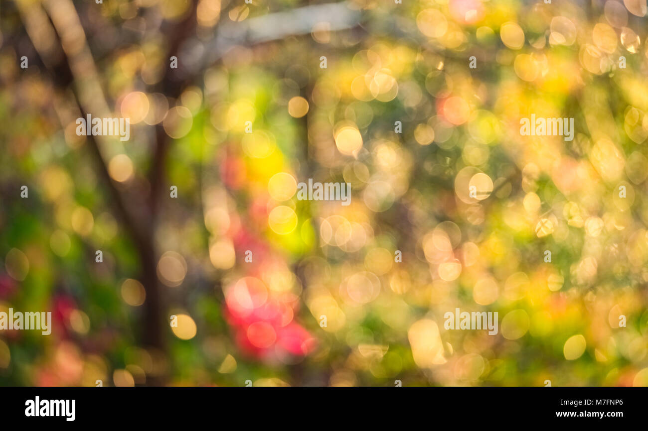 Vibrant Spring themed bokeh lighting effect with rain streaks Stock ...