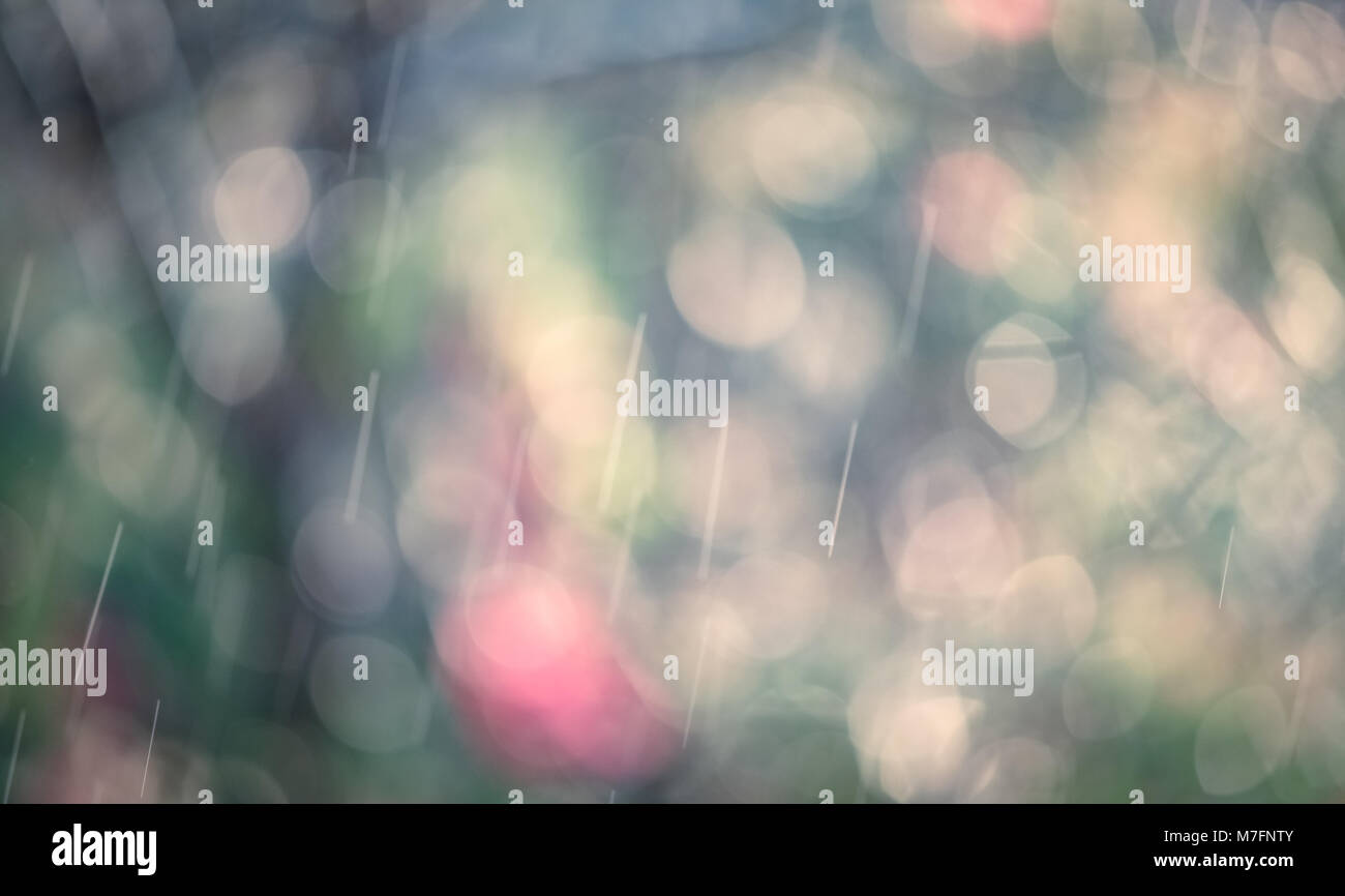 Spring themed vintage bokeh lighting effect with rain streaks Stock ...
