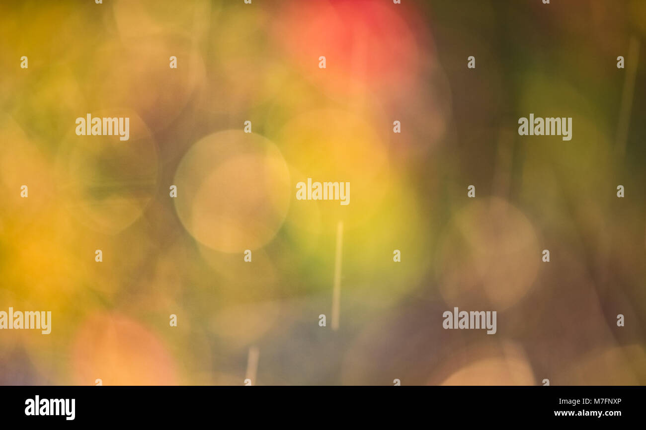 Vibrant Spring themed bokeh lighting effect with rain streaks Stock ...