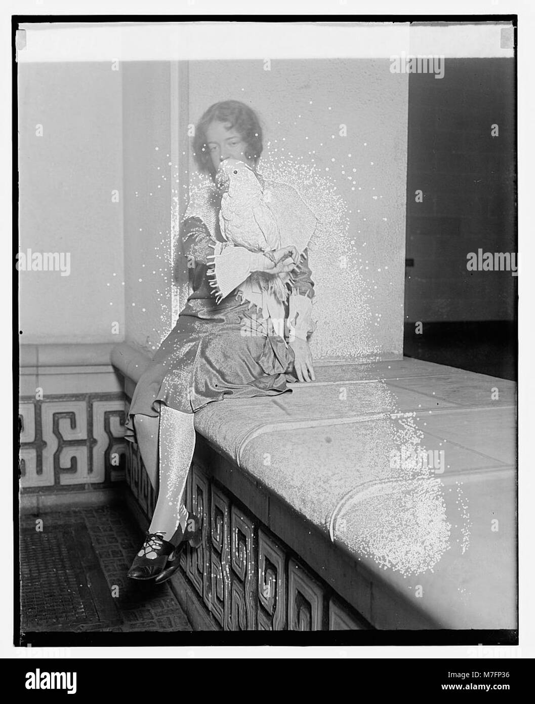 Bird and interaction Black and White Stock Photos & Images - Alamy