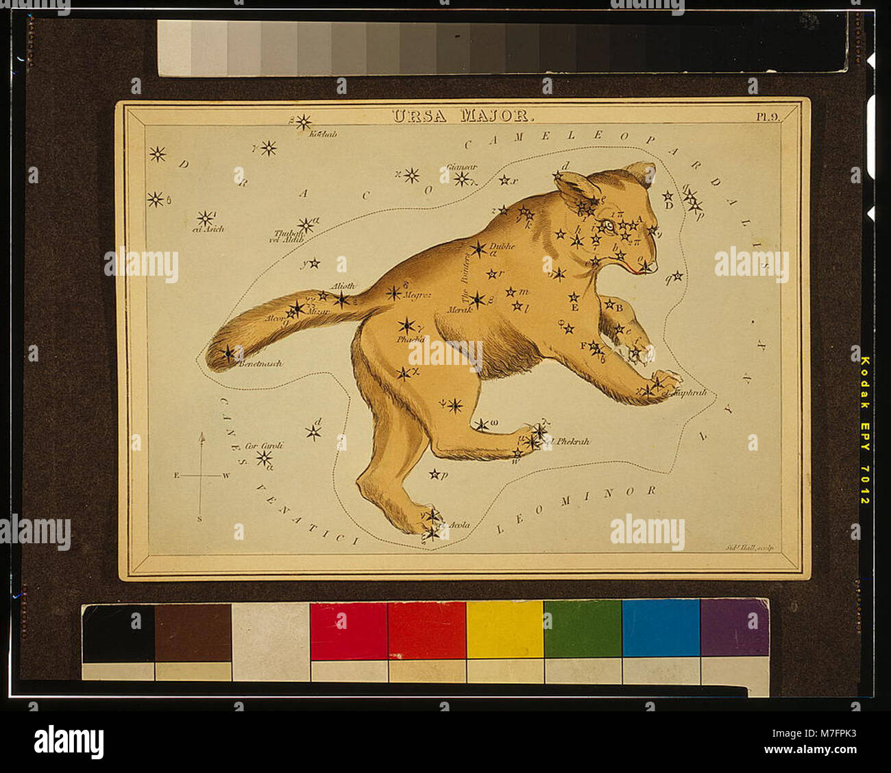 This sculpture of Ursa Major, created by Sidy Hall, is a representation ...