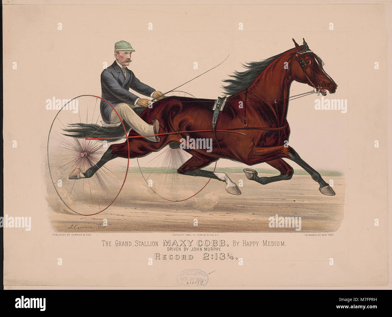 This photograph features the grand stallion Maxy Cobb, bred by Happy ...