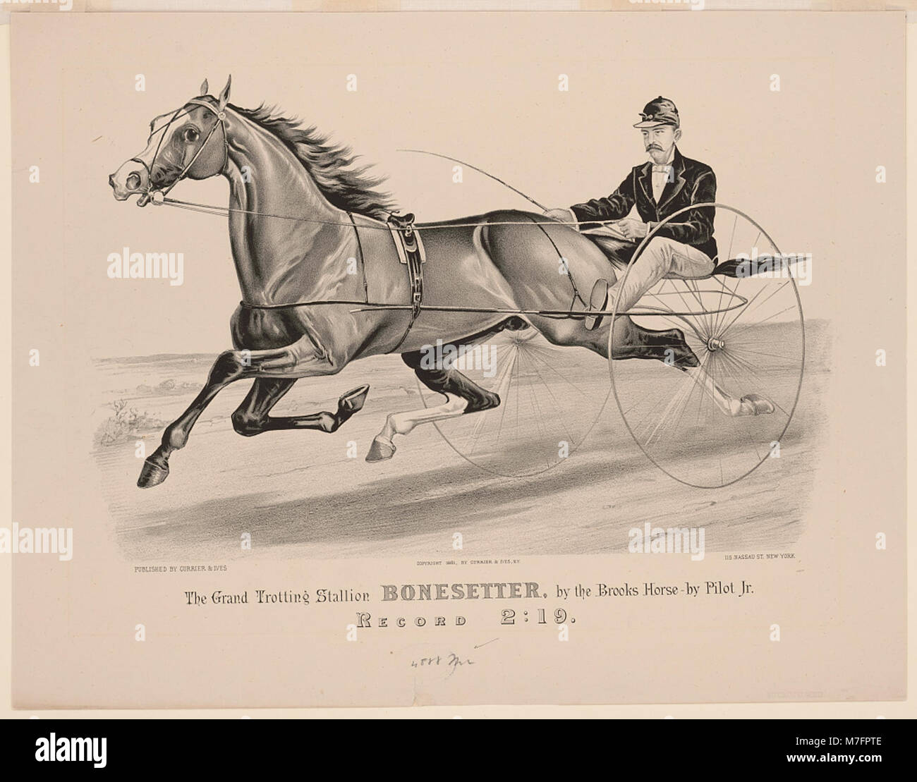 Bonesetter hi-res stock photography and images - Alamy