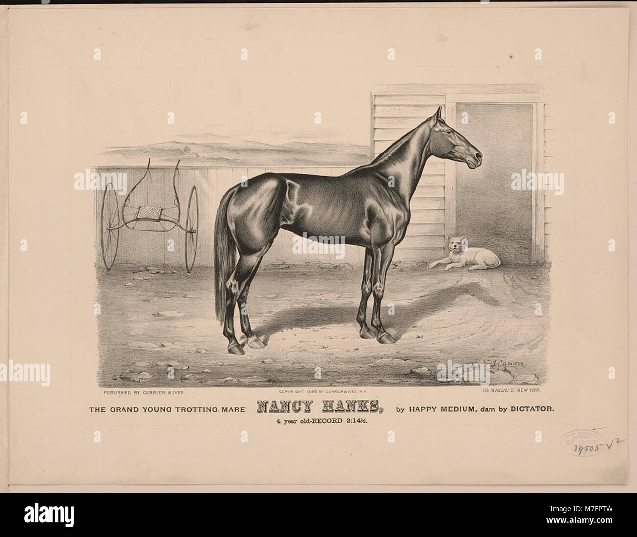 A photograph of the famous trotting mare, Nancy Hanks, known for her ...