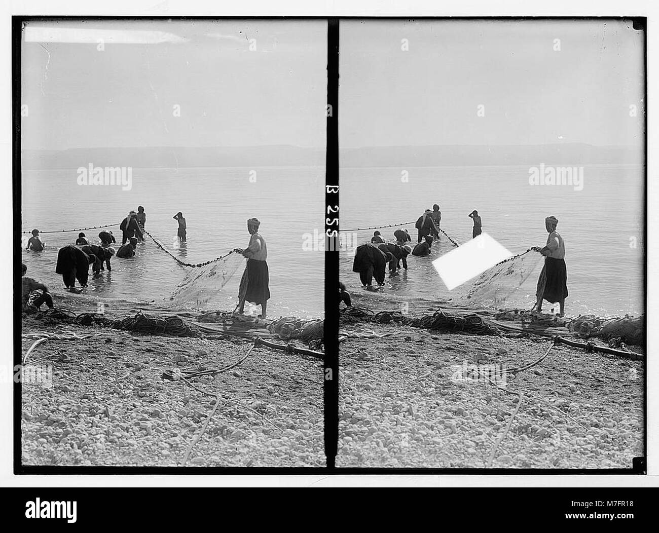 Highlights various types Black and White Stock Photos & Images - Alamy