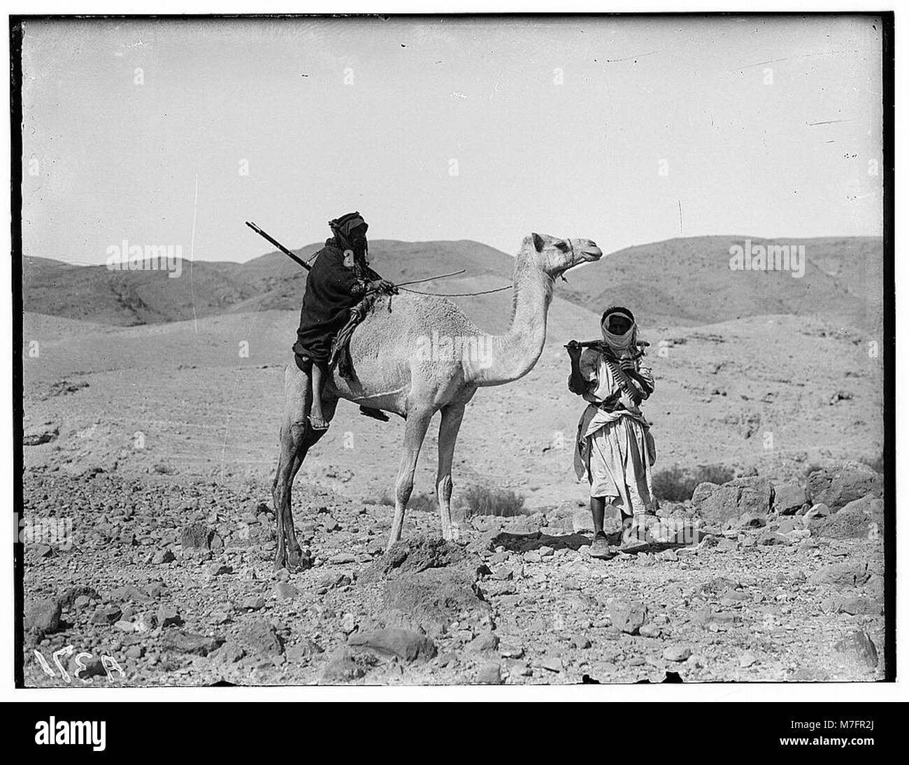 Riding camel illustration Black and White Stock Photos & Images - Alamy