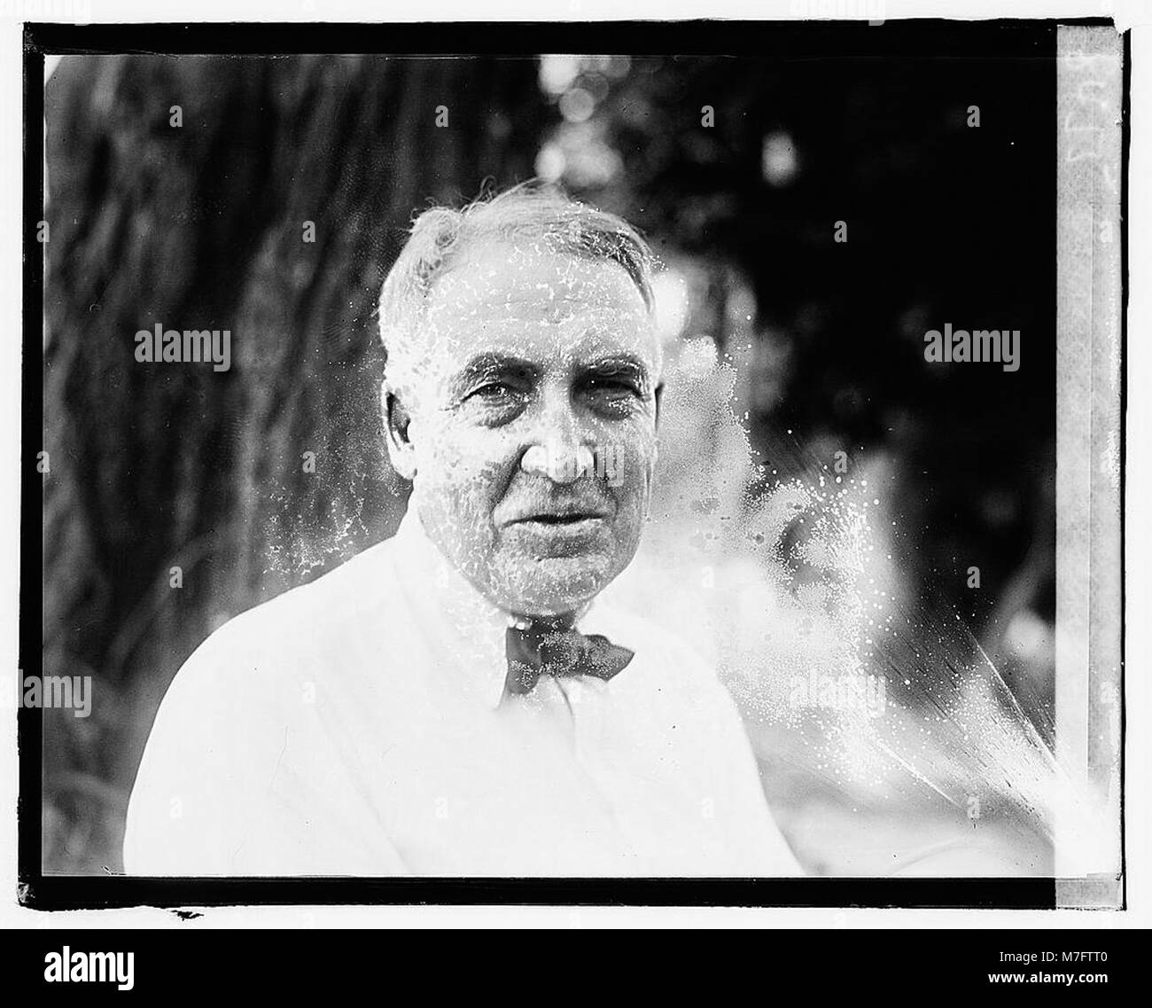 This portrait of Warren G. Harding, the 29th President of the United ...
