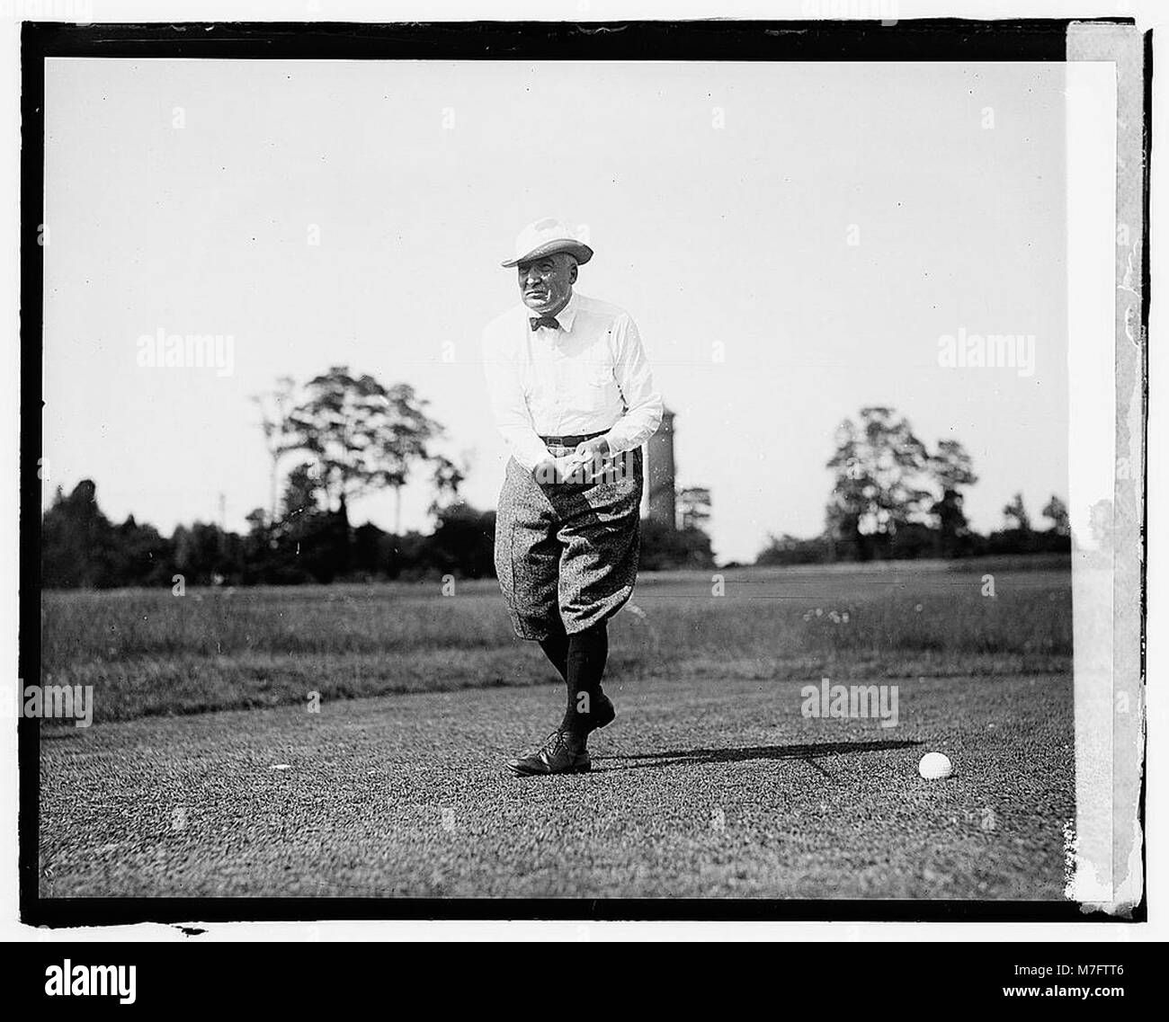 A portrait of Warren G. Harding, the 29th President of the United ...