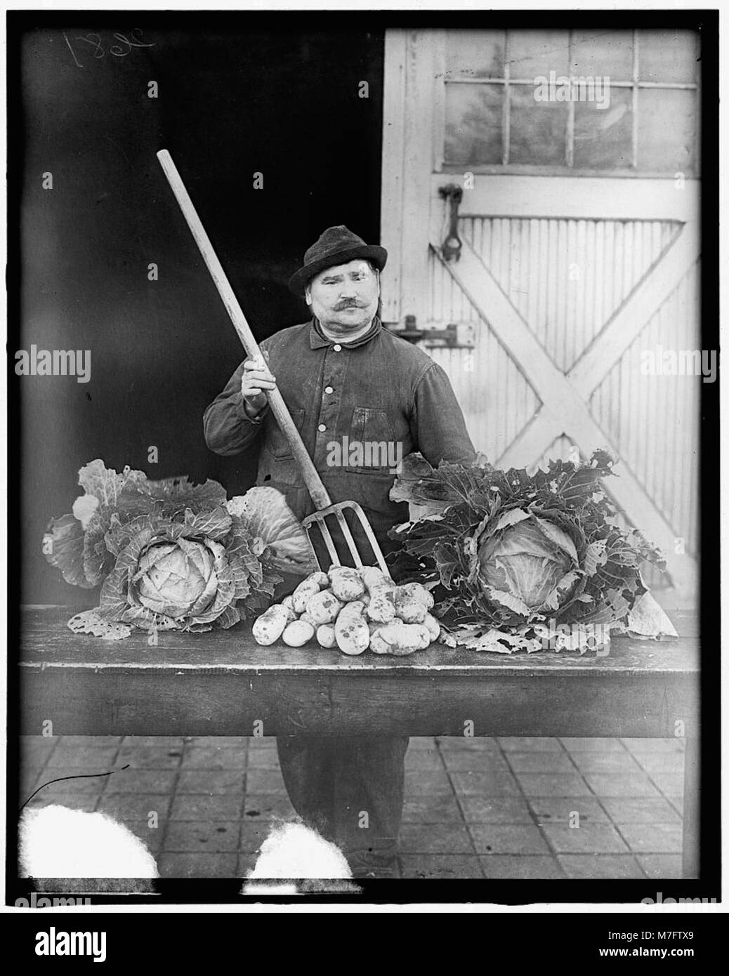 A photograph from the War Garden Commission, showcasing efforts in ...