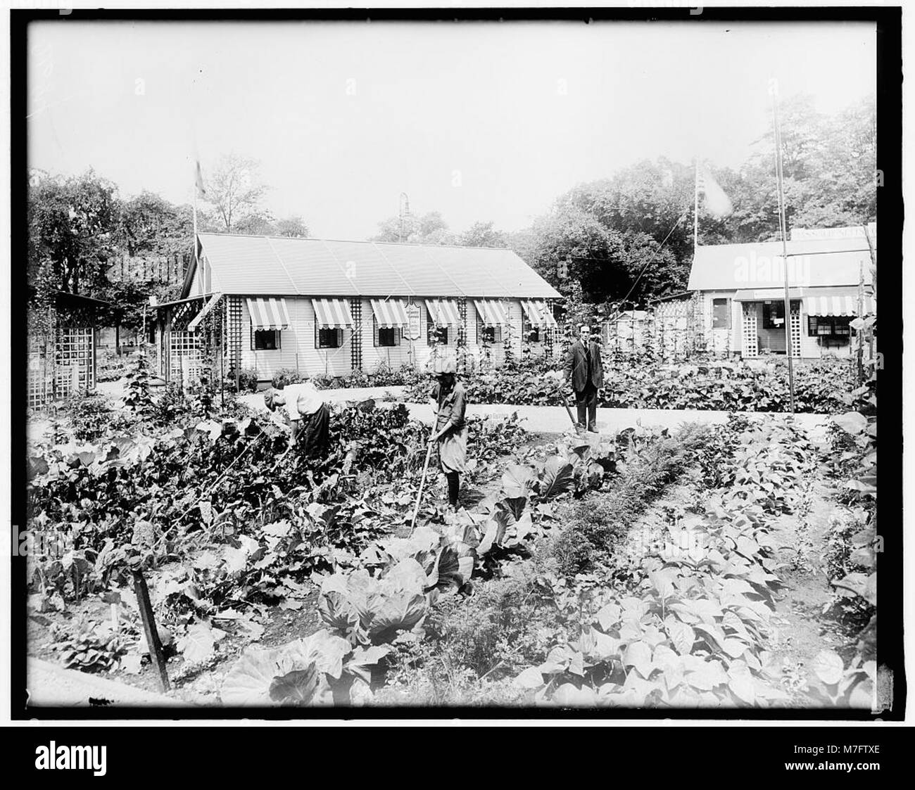 A historical photograph documenting the War Garden Commission, focusing ...
