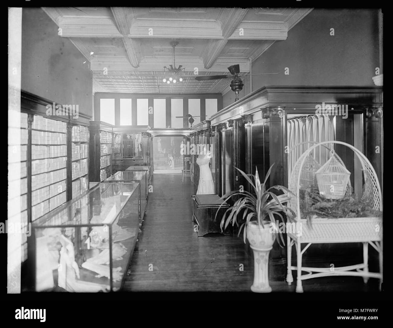 An interior view of the Wells Corset Shop in Washington, D.C ...