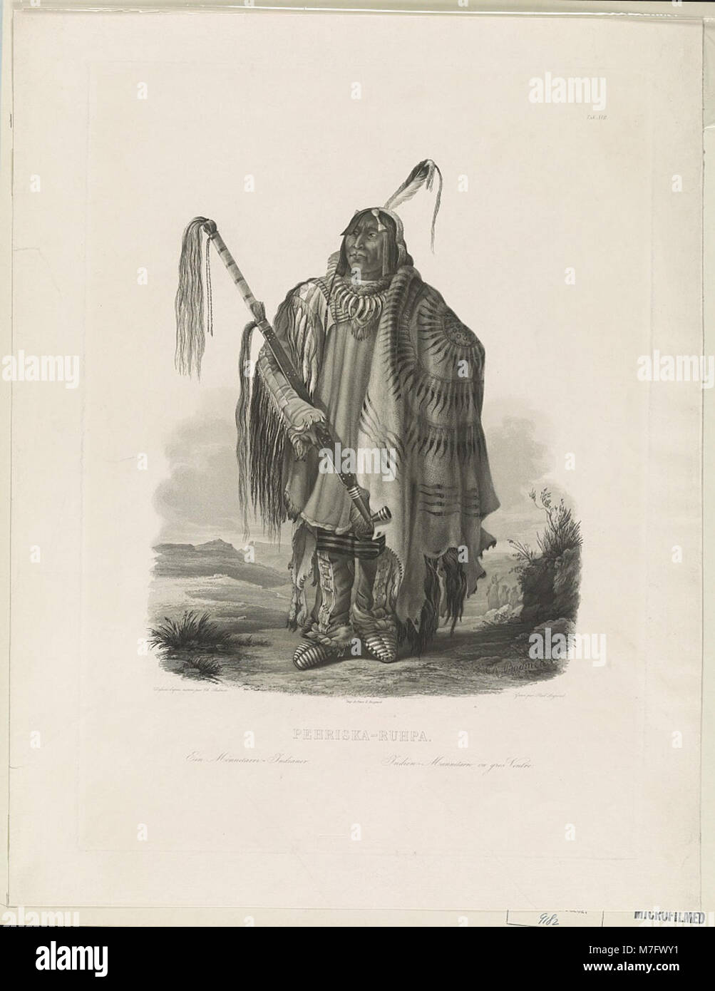 A depiction of a Mandan Native American, also known as a Gros Ventre ...