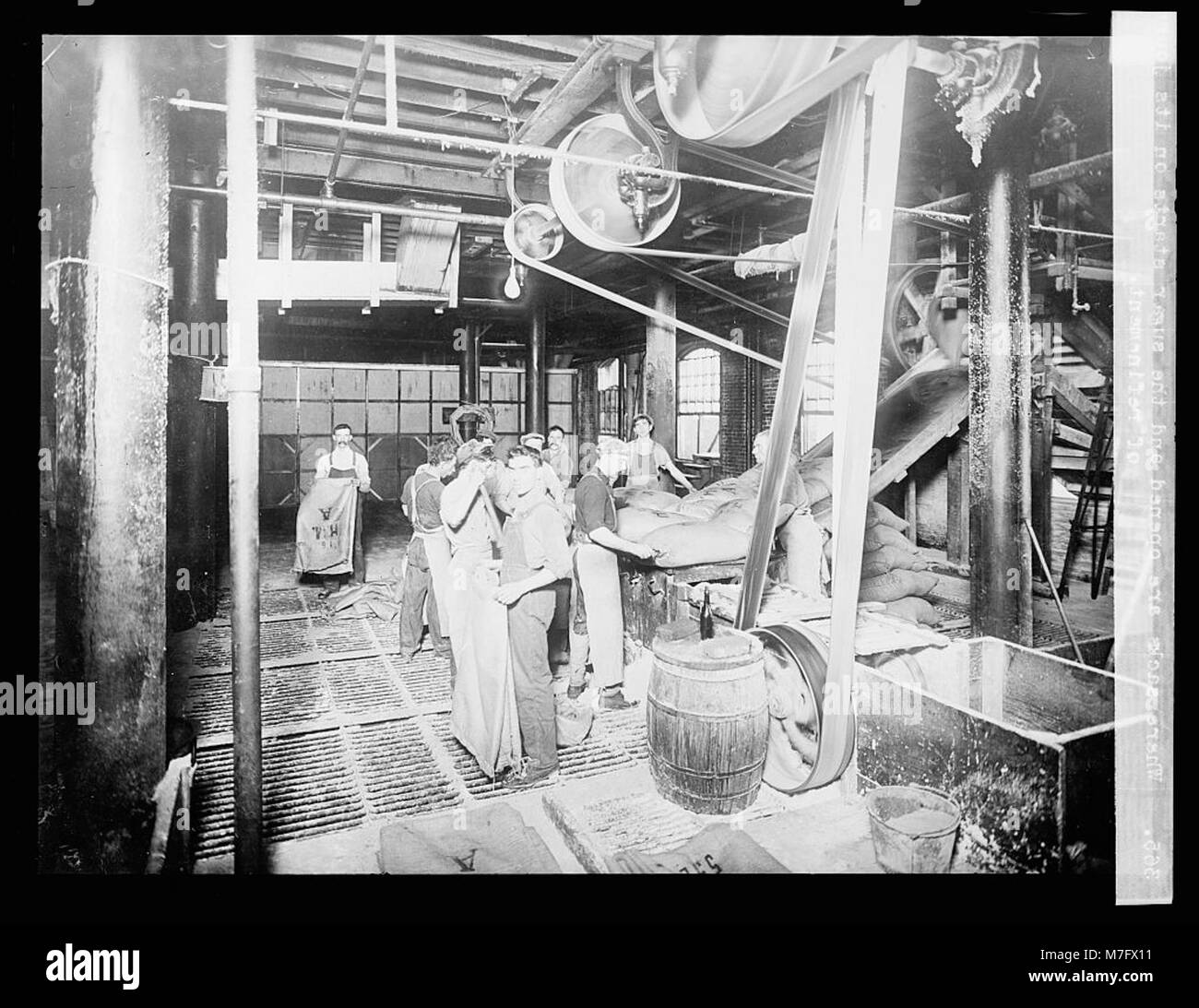 This photograph shows the initial stage of sugar production, where ...