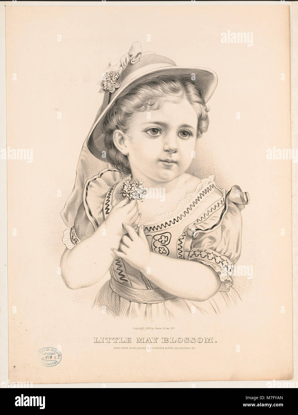 This image depicts the delicate blossom of a flower named Little May ...