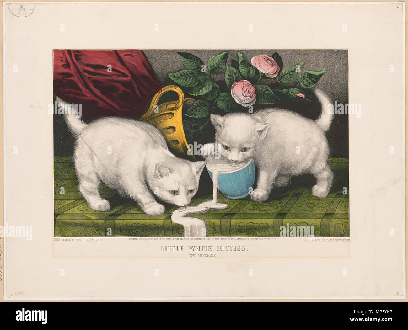 Kitties hi-res stock photography and images - Alamy