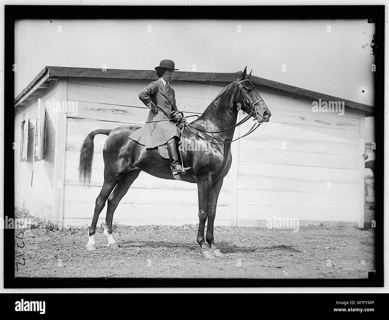 A portrait of a woman on horseback, showcasing her riding posture and ...