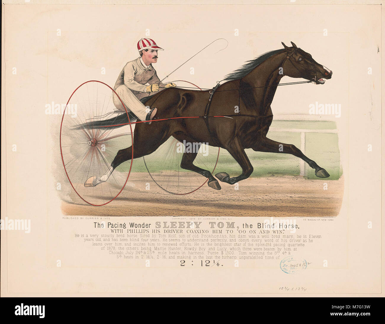 This photo shows Sleepy Tom, a famous blind racehorse known for his ...