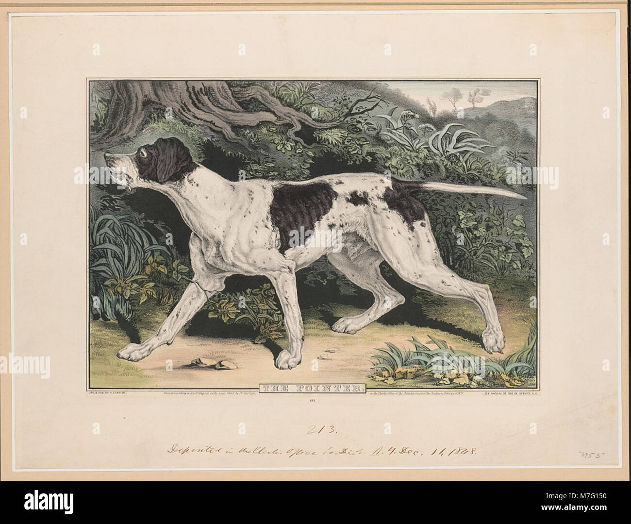 A photograph featuring 'The Pointer,' a visual reference to a dog breed ...