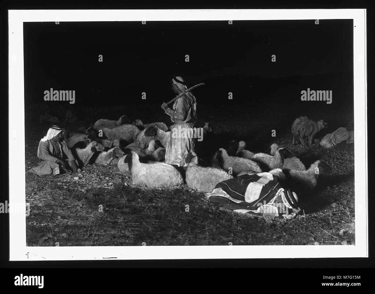 A night scene depicting the biblical story 'While Shepherds Watched ...