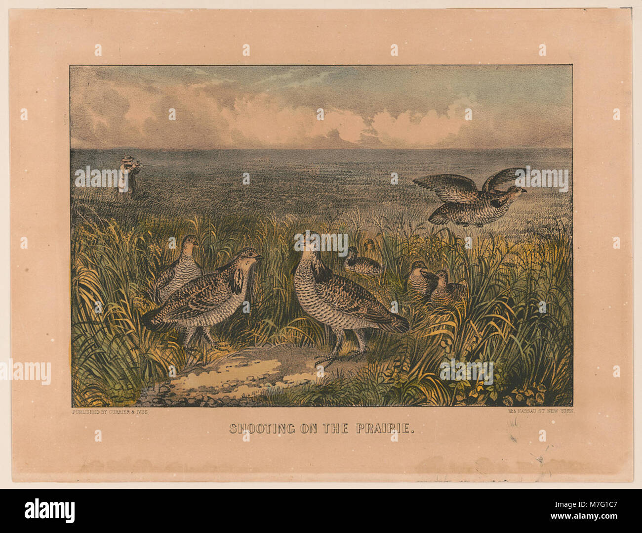 A historical photograph depicting shooting activities on the prairie ...