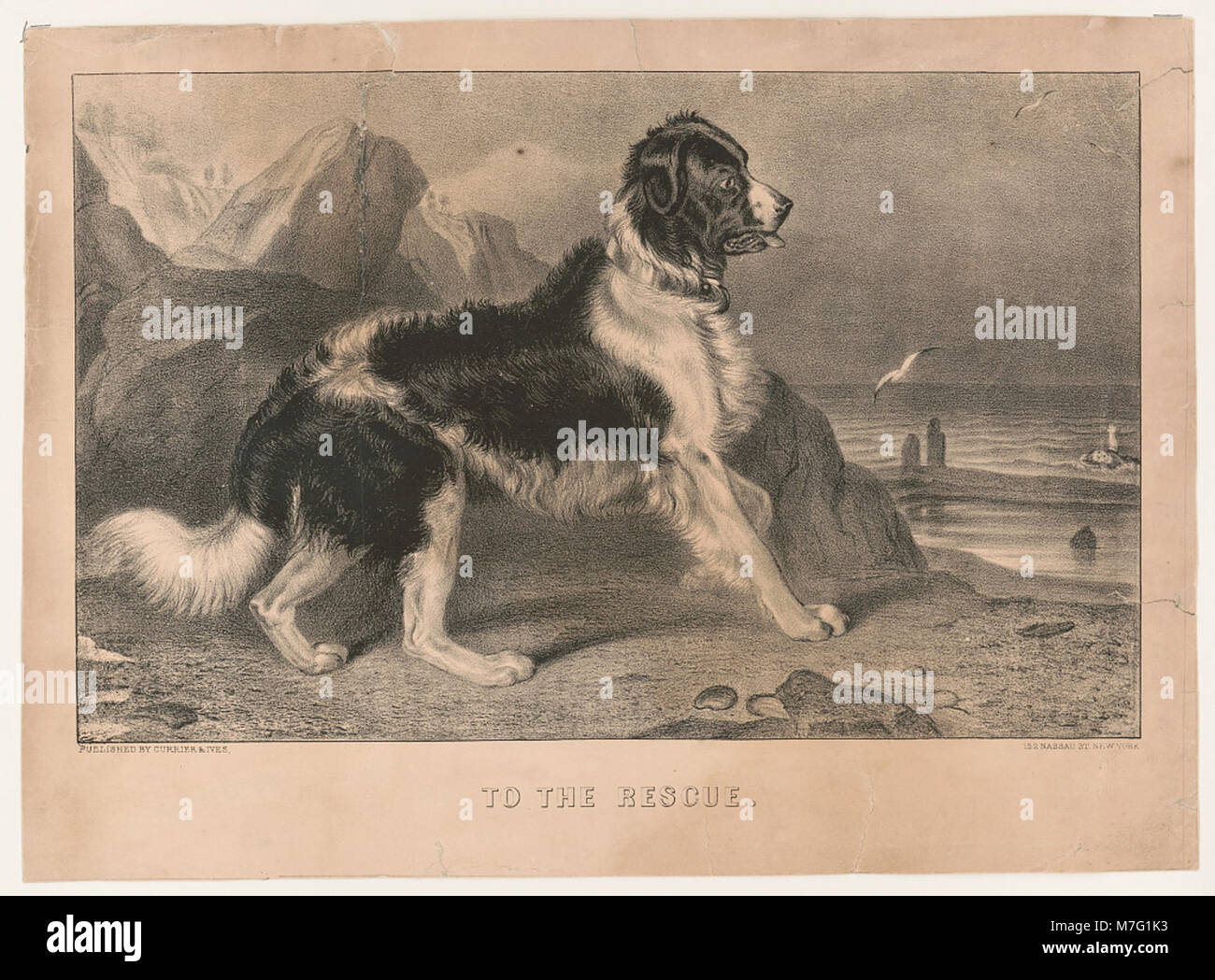 A dramatic image titled 'To the Rescue,' depicting a heroic moment. The ...