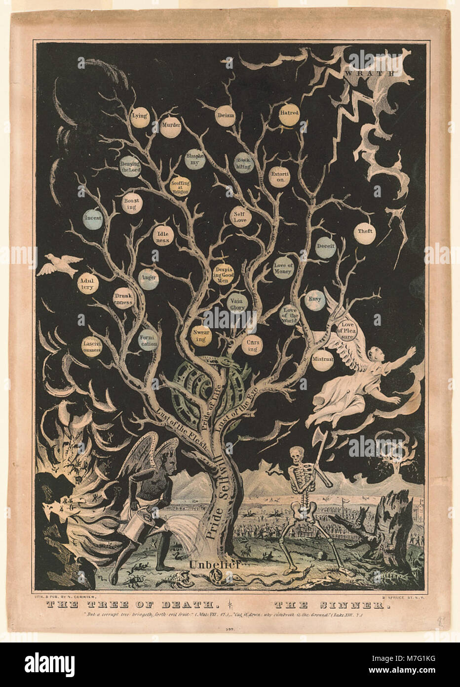 Tree of death hi-res stock photography and images - Alamy