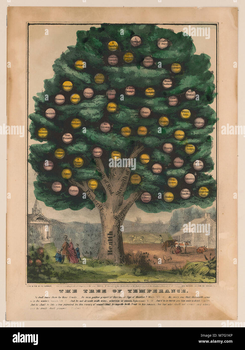 An illustration of the Tree of Temperance, a symbolic representation of ...