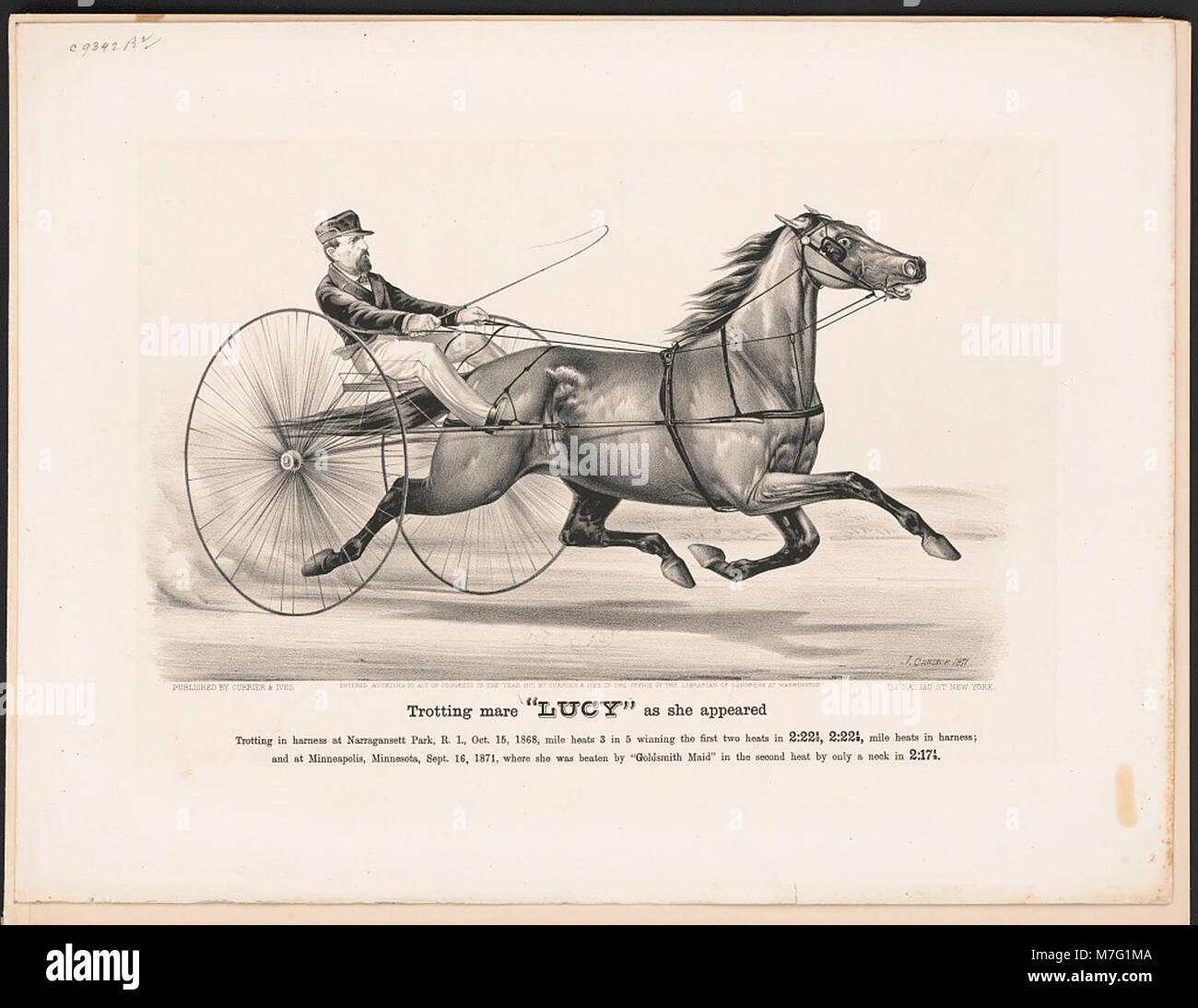 A photograph of a trotting mare named 'Lucy,' capturing the horse in ...