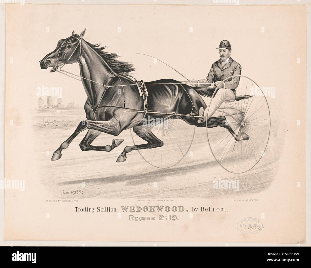 A photograph showcasing Wedgewood, a trotting stallion known for his ...