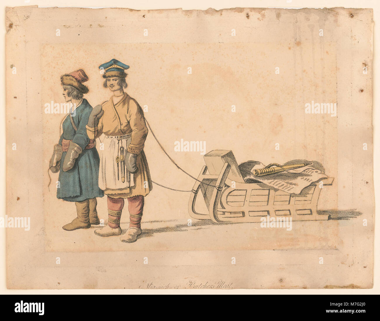 Miasnick, also known as butcher's meat, is shown in this image ...