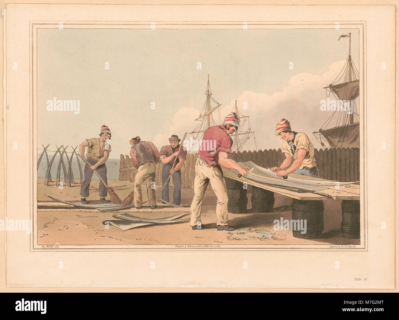 An image showcasing whalebone scrapers, tools made from whalebone used ...