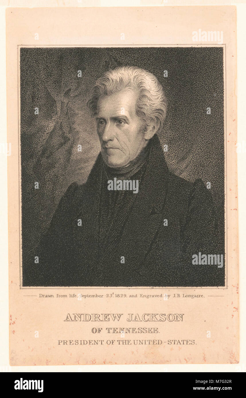 This portrait depicts Andrew Jackson, the 7th President of the United ...