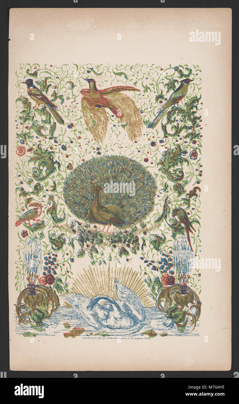 This color lithograph features a peacock and other birds, integrated ...