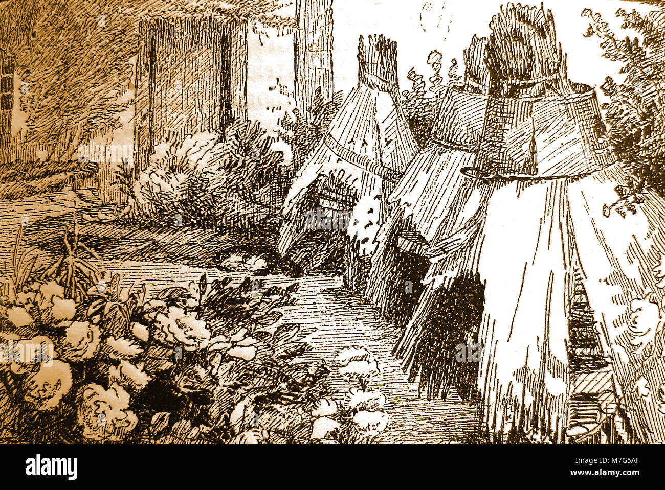 Skep hi-res stock photography and images - Alamy