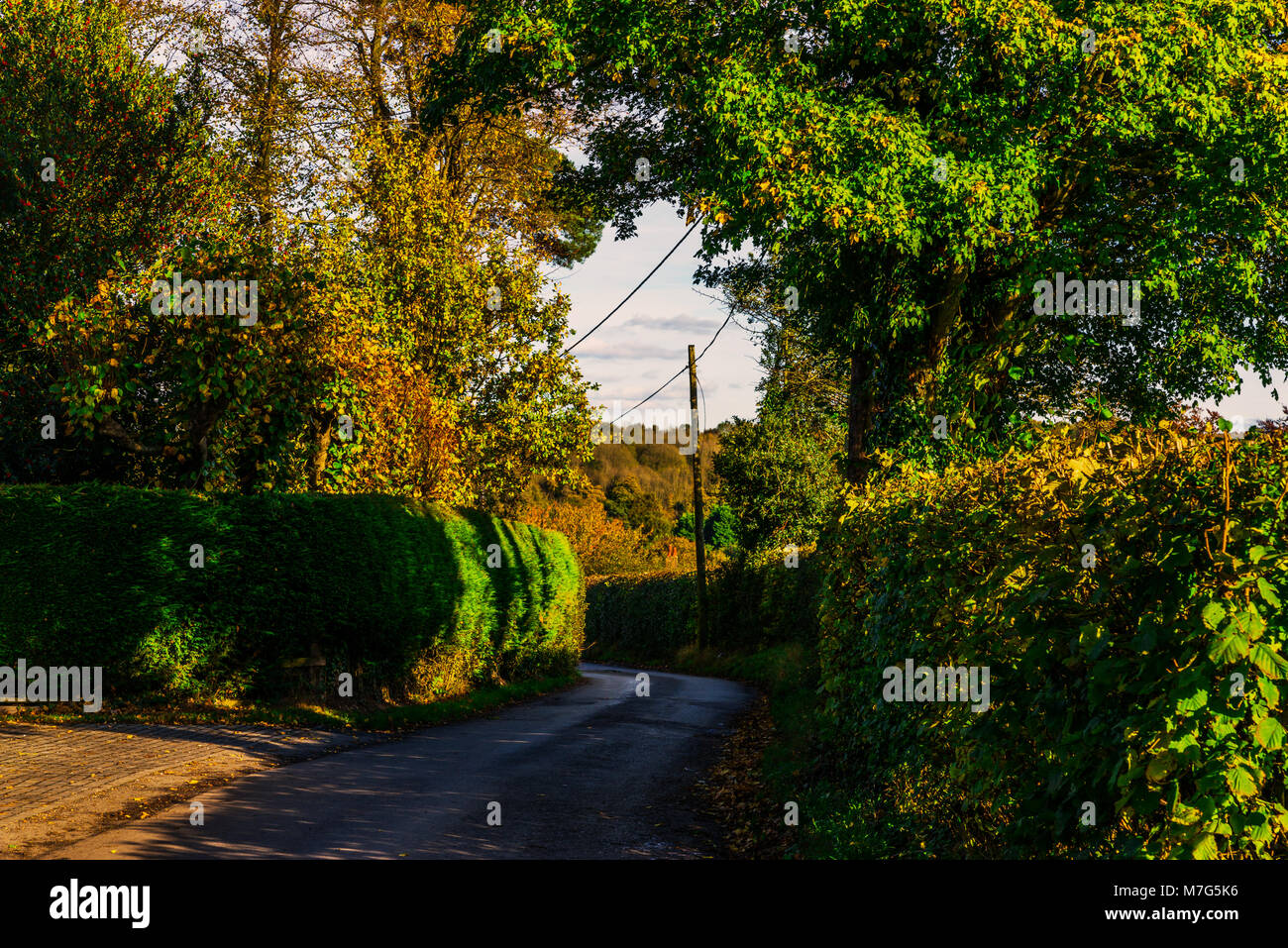 English country road on a sunny day, lush green vegetation, narrow road ...