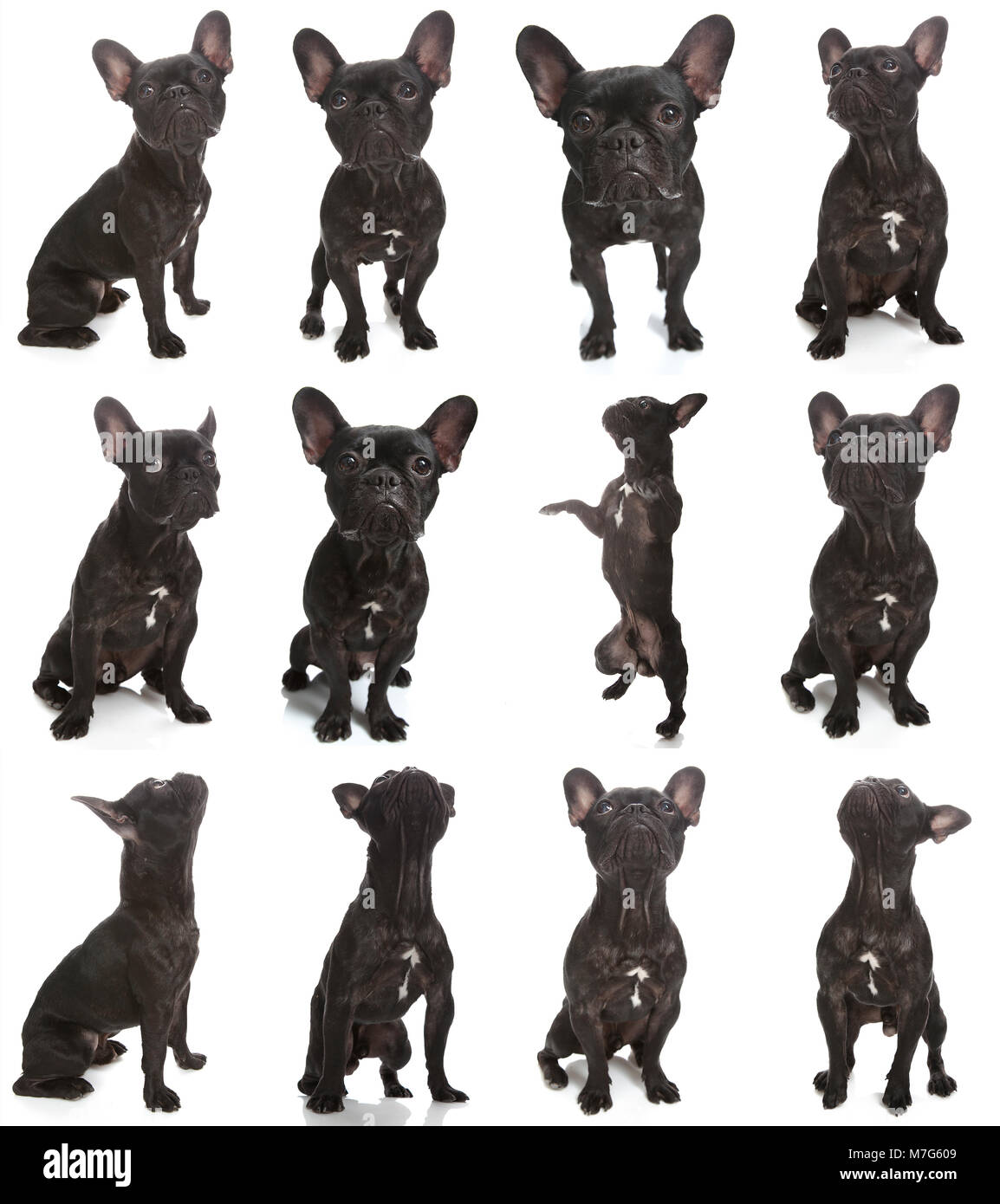 Of poses and Cut Out Stock Images & Pictures - Alamy