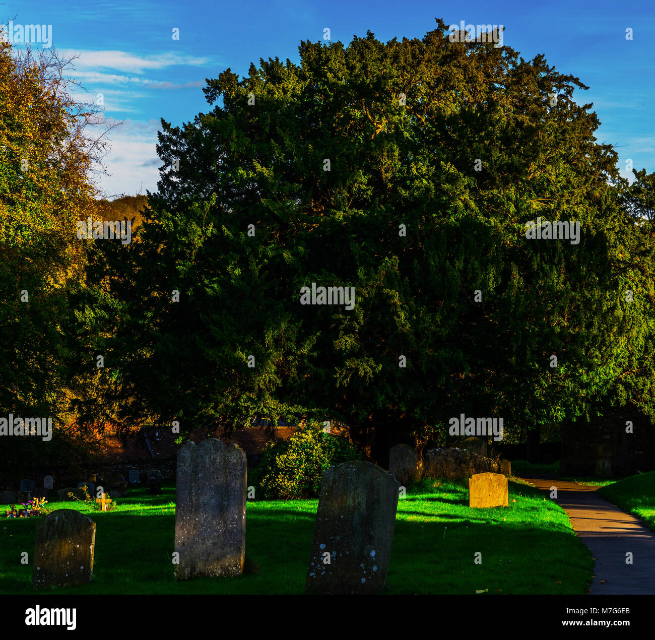 Old Medieval english Cemetery, gravestones, typical old British ...