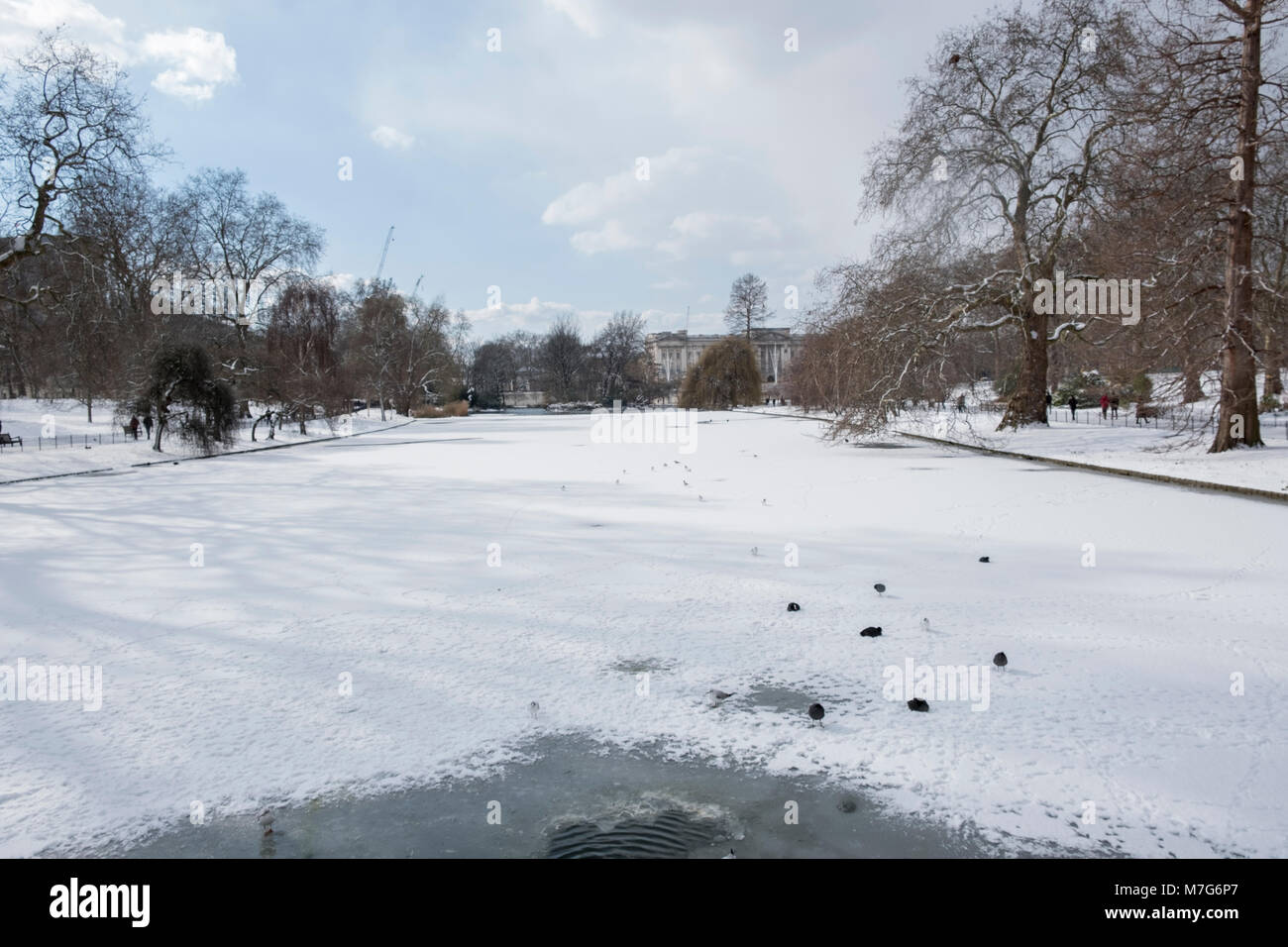 Snow fall in London winter 2018 Stock Photo - Alamy