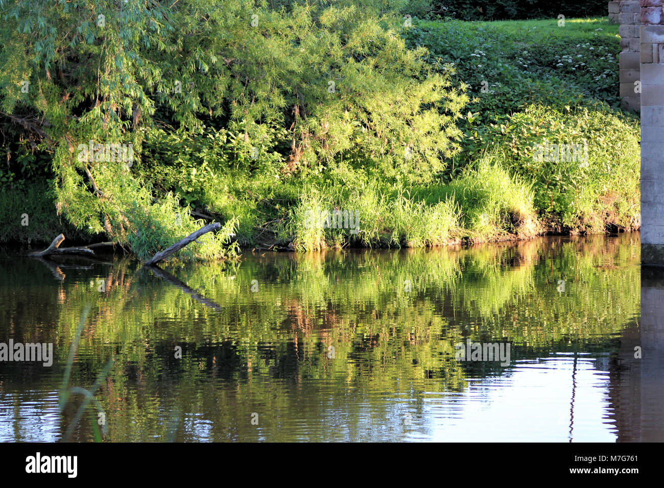 A reflection of a river Stock Photo - Alamy