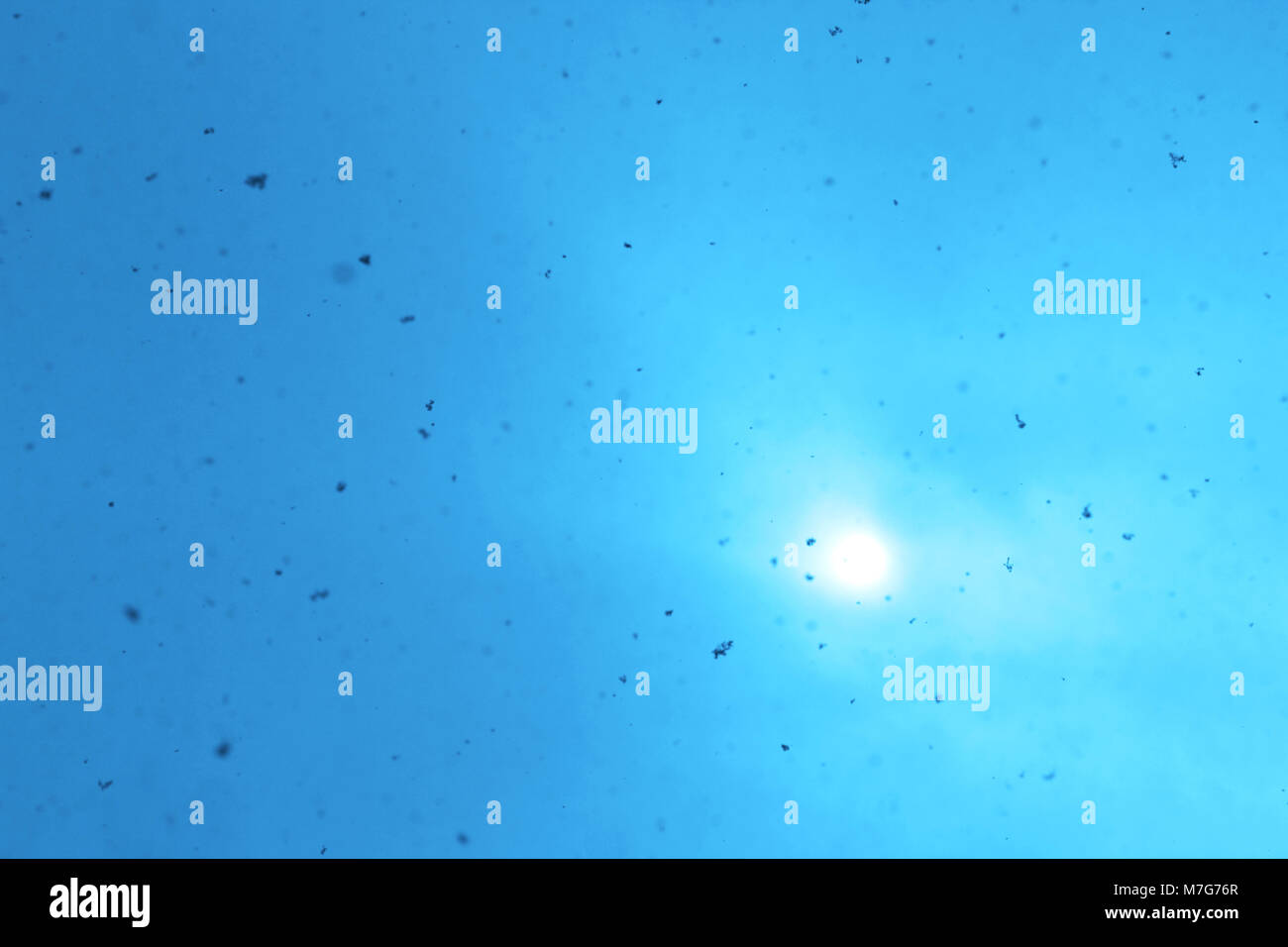 snow falls from the sky in front of sunlight in winter Stock Photo - Alamy