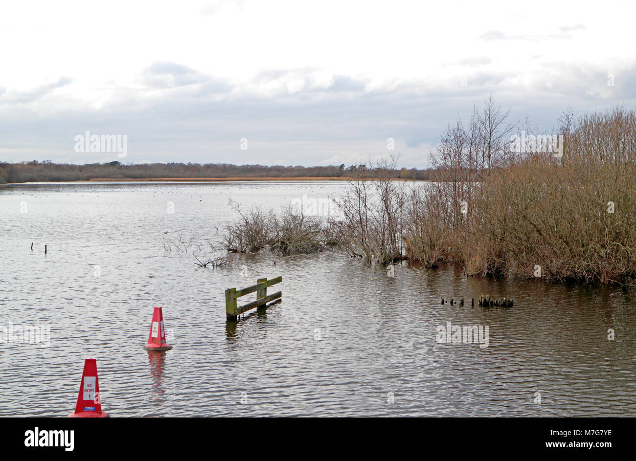 A view of the Ranworth Broad Nature Reserve on the Norfolk Broads at ...