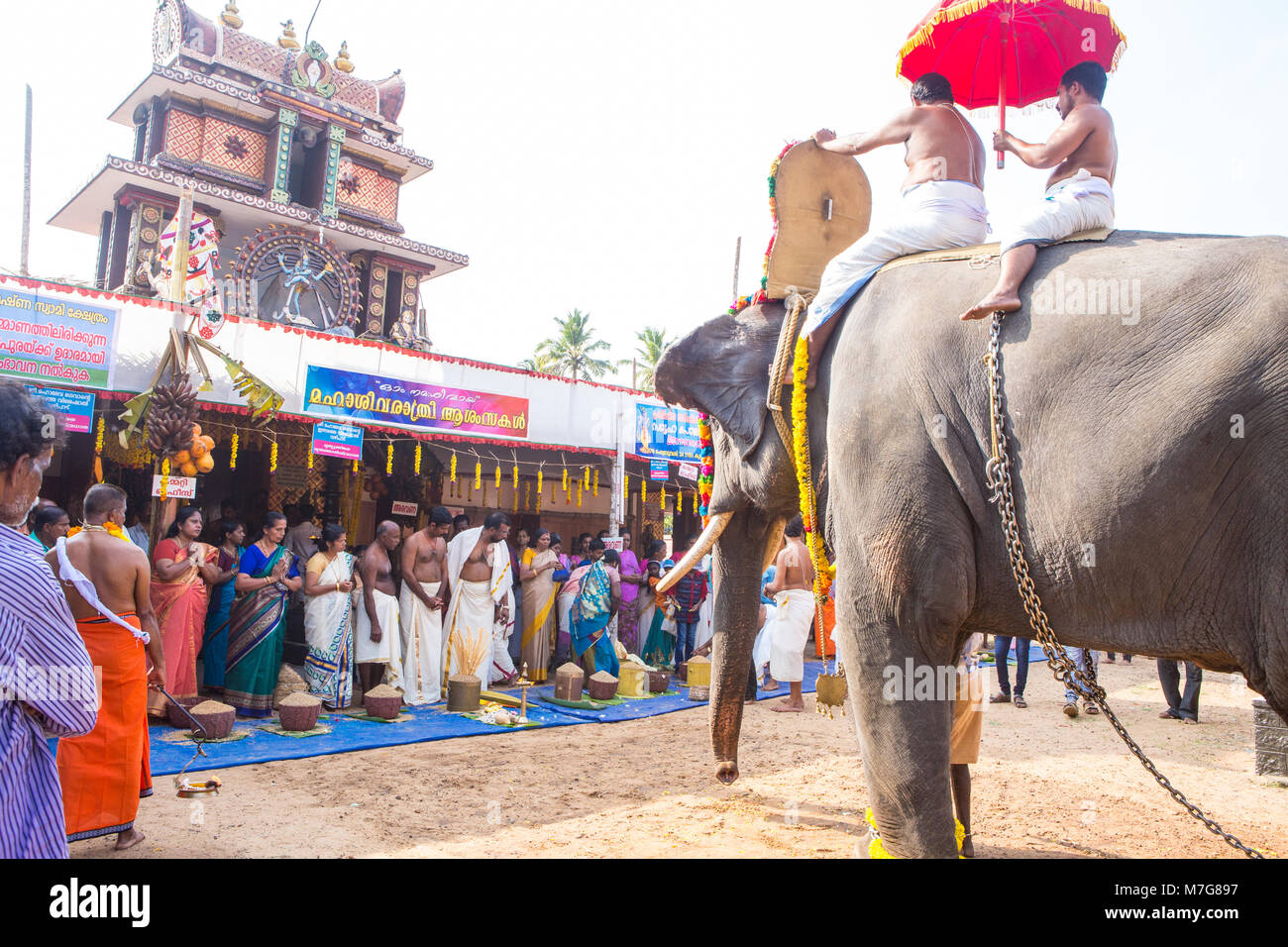 people making prayer offerings at shivratri Stock Photo - Alamy