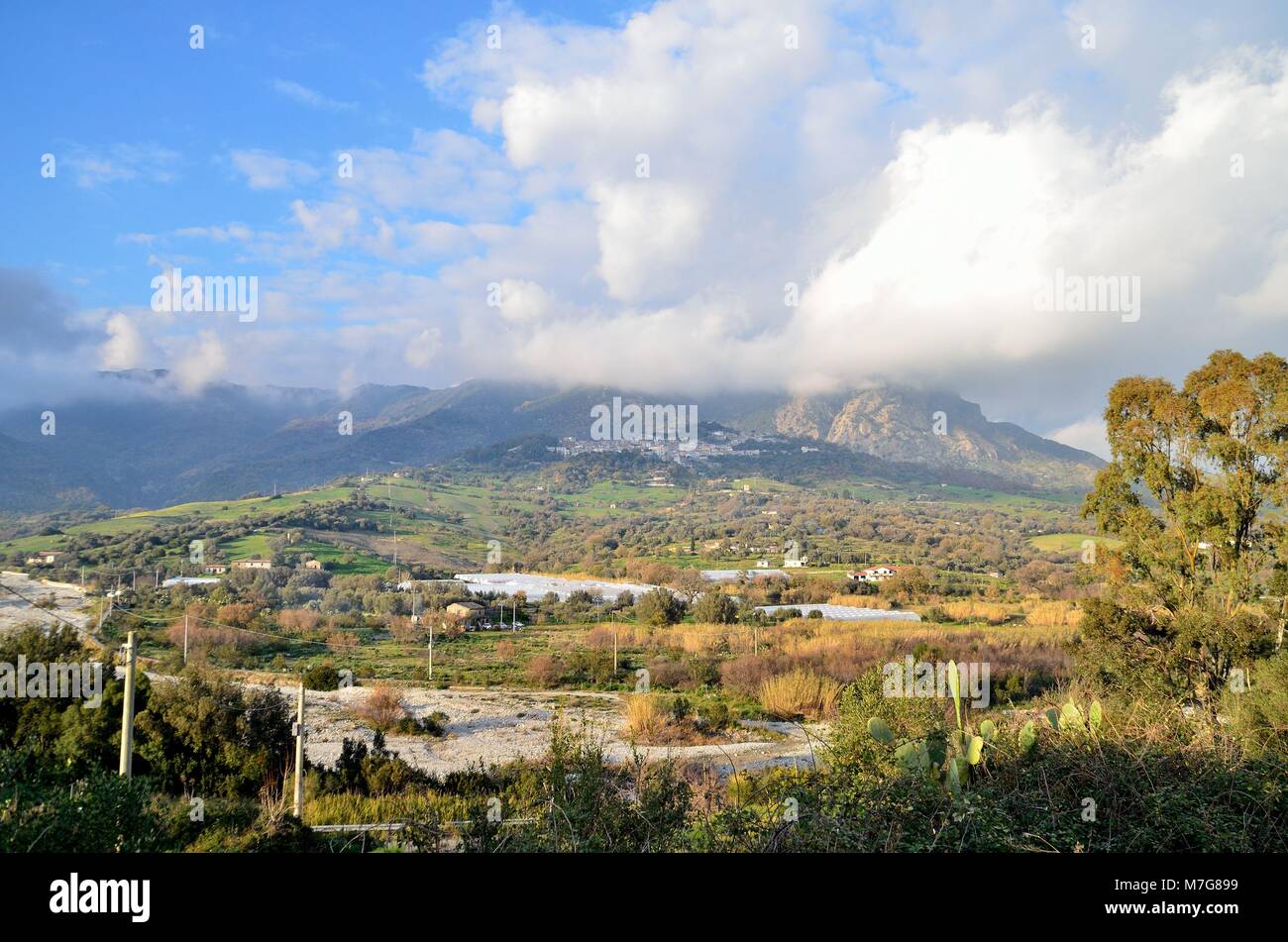 Cimina hi-res stock photography and images - Alamy