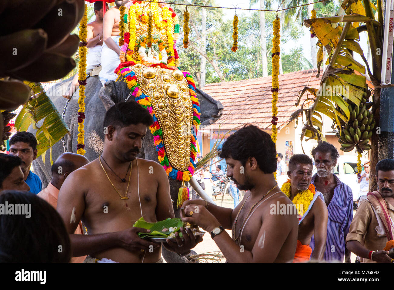 people making prayer offerings at shivratri Stock Photo - Alamy
