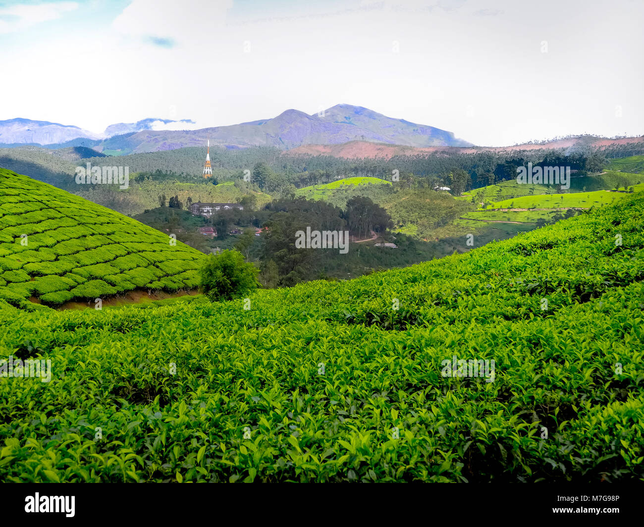 Highland kerala india greenery hi-res stock photography and images - Alamy