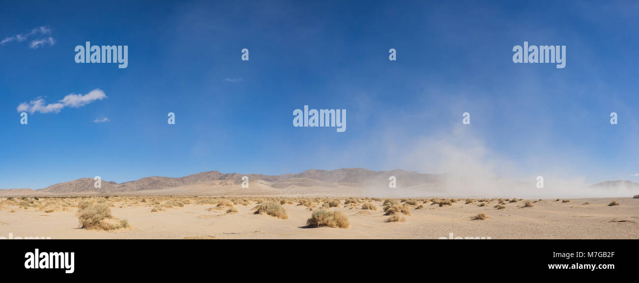 Wide expanse of brush growing in the open sand of the Mojave Desert in ...