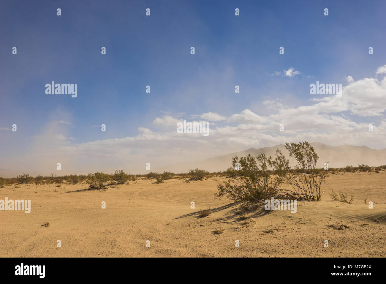 Dead brush hi-res stock photography and images - Alamy