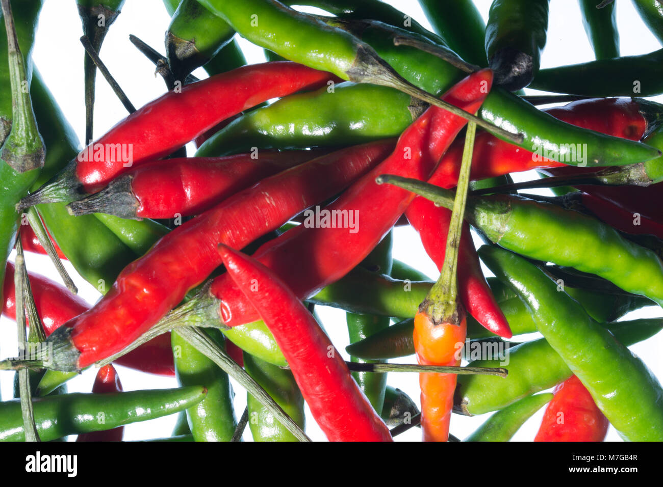 Green Finger Chillies High Resolution Stock Photography and Images - Alamy Green Finger Chillies High Resolution Stock Photography and Images - Alamy